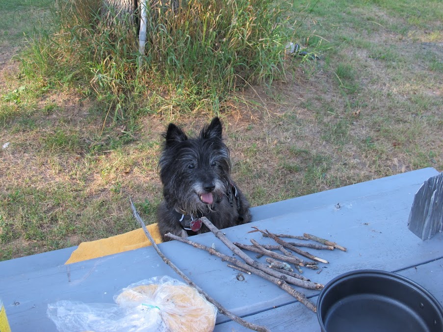 Gear Review: Bushbuddy Camping Stove – True Nomads Need No Maps